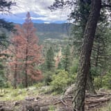 Thomas Trail Loop, Colorado - 1,258 Reviews, Map | AllTrails