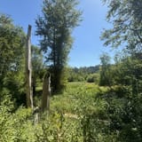 Painted Rocks Nature Trail, Washington - 770 Reviews, Map | AllTrails