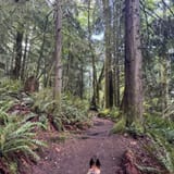 Poo Poo Point Trail, Washington - 6,881 Reviews, Map | AllTrails