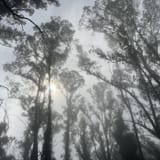 Slacker Hill via Morning Sun, Alta, SCA and Slacker Ridge, California ...