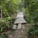 Daniel Ridge Loop [CLOSED], North Carolina - 2,155 Reviews, Map | AllTrails