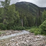 Loop Brook Trail, British Columbia, Canada - 251 Reviews, Map | AllTrails