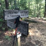 Chestnut Top Trail, Tennessee - 597 Reviews, Map | AllTrails