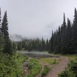 Shadow Lake Trail, Washington - 429 Reviews, Map | AllTrails