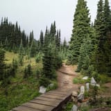 Shadow Lake Trail, Washington - 429 Reviews, Map | AllTrails