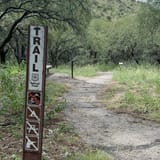 Proctor Road Nature Trail, Arizona - 322 Reviews, Map | AllTrails