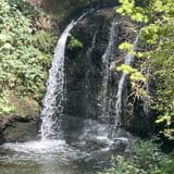 Hidden Falls Nature Park Trail, Oregon - 522 Reviews, Map | AllTrails