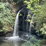 Hidden Falls Nature Park Trail, Oregon - 534 Reviews, Map | AllTrails