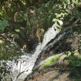 Hidden Falls Nature Park Trail, Oregon - 522 Reviews, Map | AllTrails