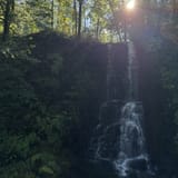 Angel's Rest, Oregon - 8,842 Reviews, Map | AllTrails