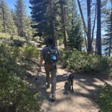 Fallen Leaf Lake Trail, California - 1,493 Reviews, Map | AllTrails