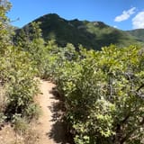 Salt Lake Overlook via Desolation Trail, Utah - 4,779 Reviews, Map ...