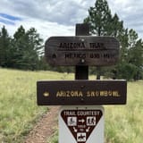 Aspen Nature Loop, Arizona - 2,374 Reviews, Map | AllTrails