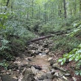 Green River Bluff, Echo River Springs, Sinkhole and Heritage Trail ...