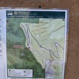 North Sandia Peak Trail, New Mexico - 753 Reviews, Map | AllTrails