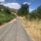 Link River Trail, Oregon - 560 Reviews, Map | AllTrails
