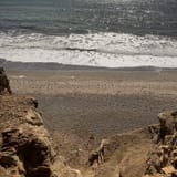 Alamere Falls via Coast Trail from Palomarin Trailhead, California ...
