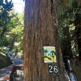 Bootjack Loop, California - 1,989 Reviews, Map | AllTrails