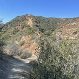 Skyline Drive to Beek's Place, California - 2,597 Reviews, Map | AllTrails