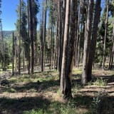 Eagle Loop, Idaho - 112 Reviews, Map | AllTrails