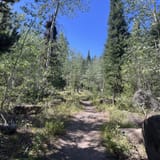 Eagle Loop, Idaho - 112 Reviews, Map | AllTrails