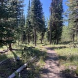 Eagle Loop, Idaho - 112 Reviews, Map | AllTrails