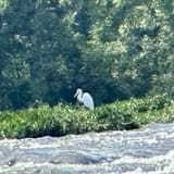 Sandstone Falls Boardwalk and Island Loop Trail, West Virginia - 792 ...