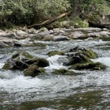 Laurel River Trail, North Carolina - 1,685 Reviews, Map | AllTrails