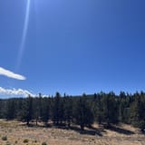 Riley Ranch Trails, Oregon - 391 Reviews, Map | AllTrails