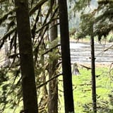 Irely Lake Trail, Washington - 125 Reviews, Map | AllTrails