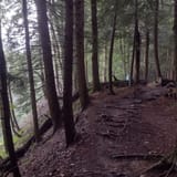 Sprague Brook Park Trail, New York - 1,438 Reviews, Map | AllTrails