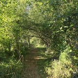 Puyallup Loop Trail, Washington - 1,414 Reviews, Map | AllTrails