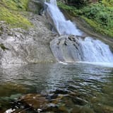 Racehorse Falls Trail, Washington - 433 Reviews, Map | AllTrails