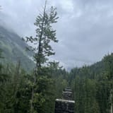 Loop Brook Trail, British Columbia, Canada - 251 Reviews, Map | AllTrails