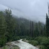Loop Brook Trail, British Columbia, Canada - 251 Reviews, Map | AllTrails