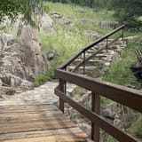 Proctor Road Nature Trail, Arizona - 319 Reviews, Map | AllTrails