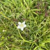 Gunsight Ridge Trail, Oregon - 13 Reviews, Map | AllTrails