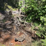 Emerald Lake Loop, British Columbia, Canada - 3,368 Reviews, Map ...