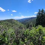 Stultz Trail, Colorado - 121 Reviews, Map | AllTrails
