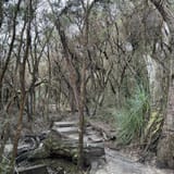 Drawing Room Rocks, New South Wales, Australia - 428 Reviews, Map ...