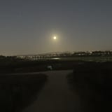 Back Bay Loop Trail, California - 2,410 Reviews, Map | AllTrails