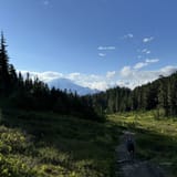 Anderson Lake and Watson Lake, Washington - 596 Reviews, Map | AllTrails