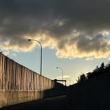 WA 520 Trail, Washington - 703 Reviews, Map | AllTrails