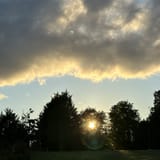 WA 520 Trail, Washington - 703 Reviews, Map | AllTrails