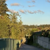 WA 520 Trail, Washington - 708 Reviews, Map | AllTrails