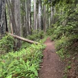 Miner's Ridge and James Irvine Loop, California - 1,925 Reviews, Map ...