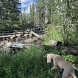 Camp Lakes, Rawah Lakes, and Twin Crater Lakes Loop Trail, Colorado ...