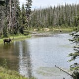 Camp Lakes, Rawah Lakes, and Twin Crater Lakes Loop Trail, Colorado ...
