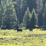 Camp Lakes, Rawah Lakes, and Twin Crater Lakes Loop Trail, Colorado ...