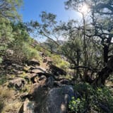 You Yangs Northern Range Circuit, Victoria, Australia - 441 Reviews ...